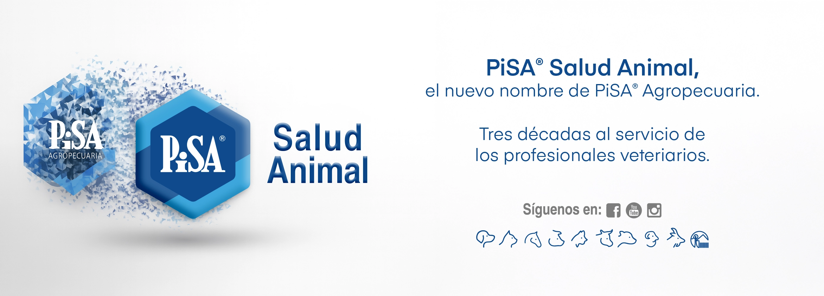 La combinación perfecta para disminuir fiebre, inflamación y dolor en ...