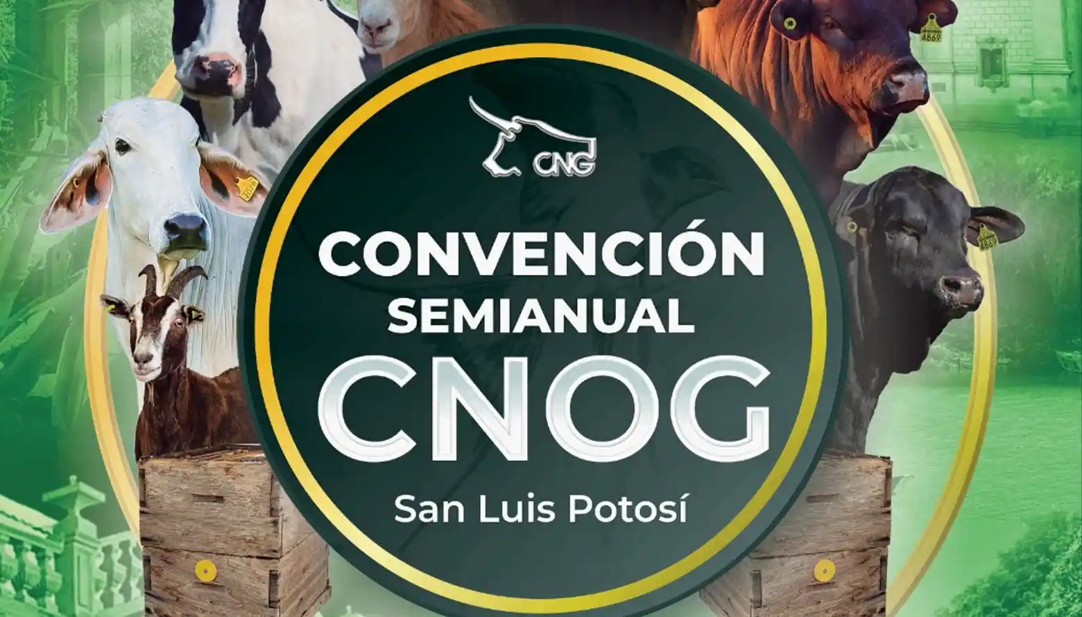 Convención Semianual CNOG 2023