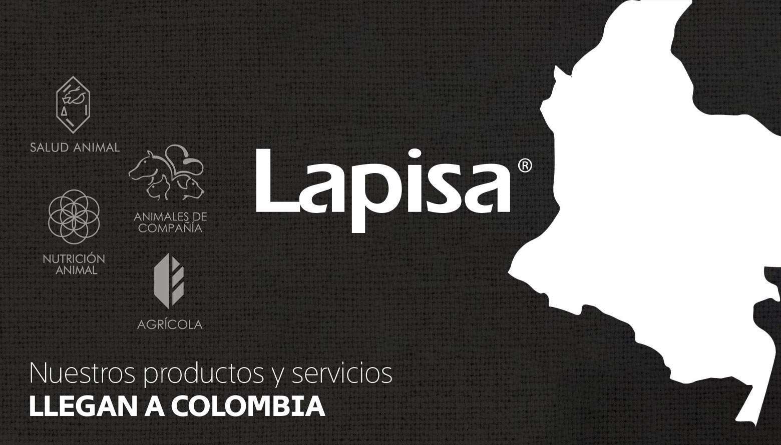 Lapisa