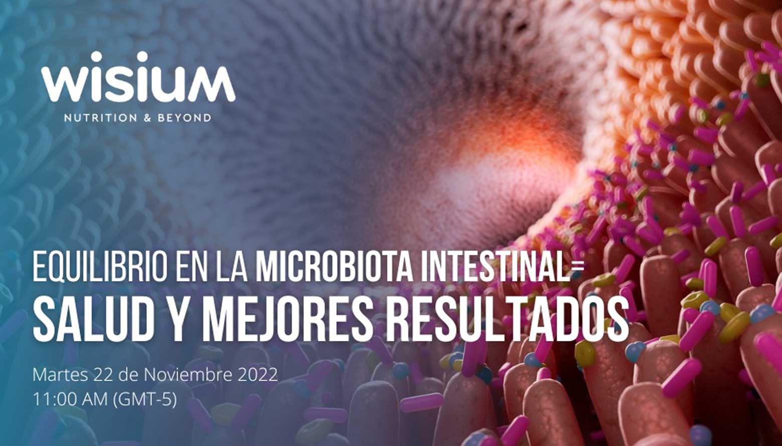 Webinar Wisium: Equilibrio en la Microbiota Intestinal = Salud y ...