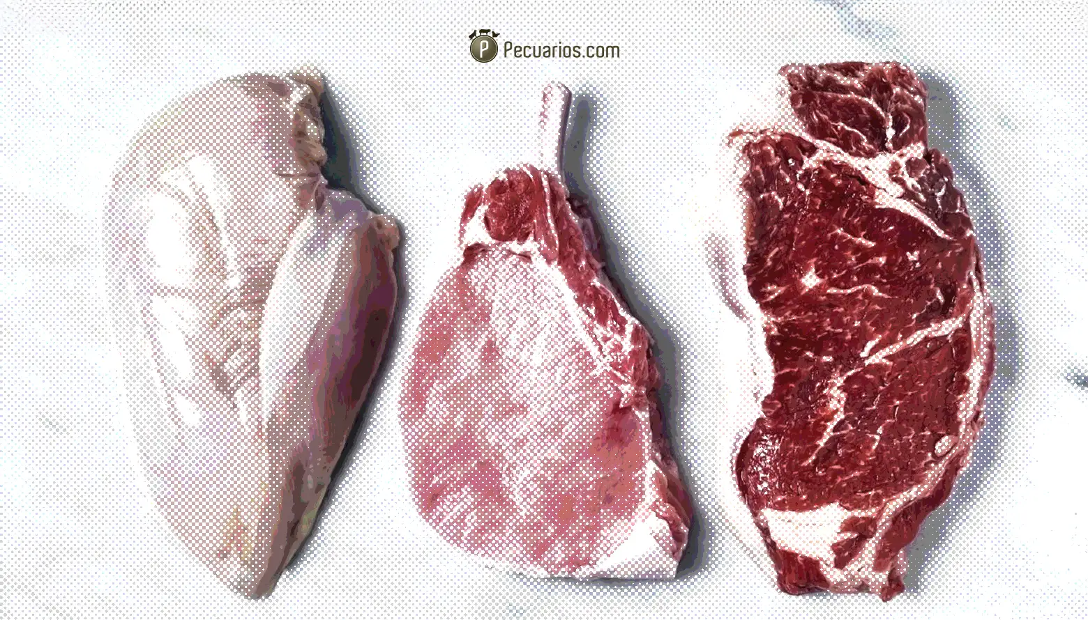 La producción mundial de carne alcanzará los 280 millones de toneladas ... La producción mundial de carne alcanzará los 280 millones de toneladas ...