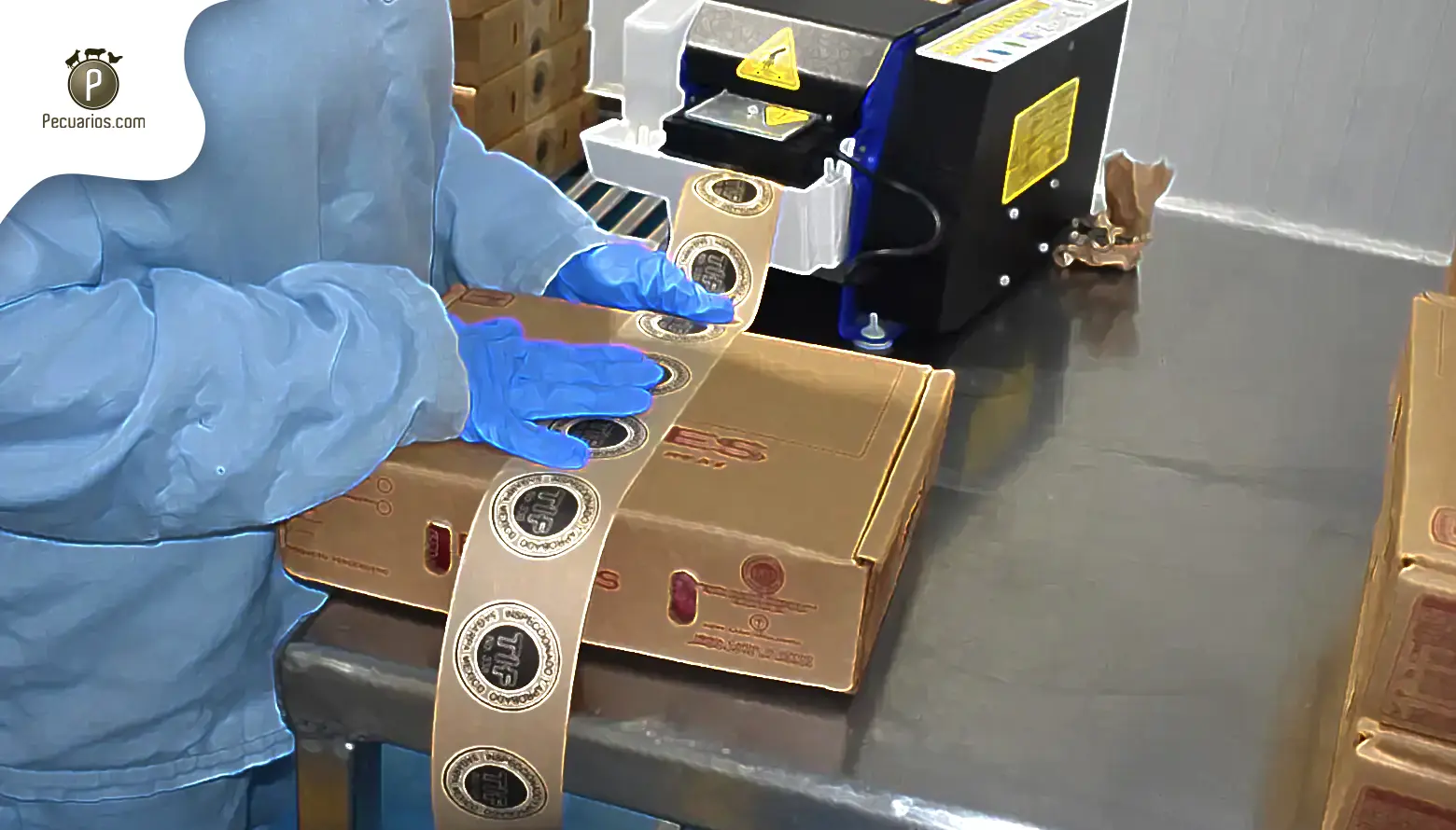 Sello TIF: un símbolo de confianza para los consumidores mexicanos e ...