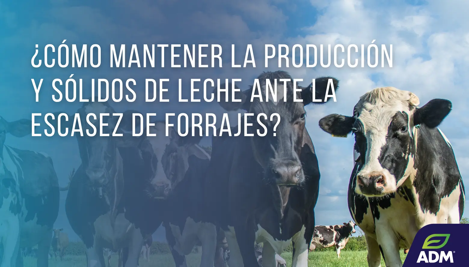 ADM Premix