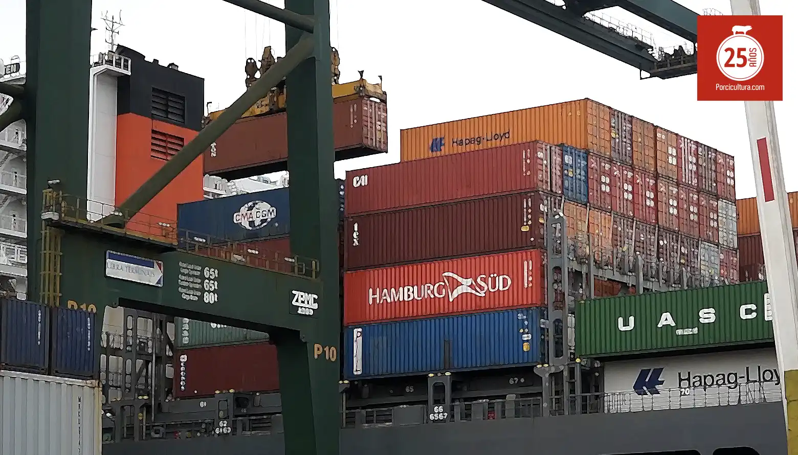 USDA: Brasil aumentará 5% sus exportaciones porcinas en 2025, pese a ...