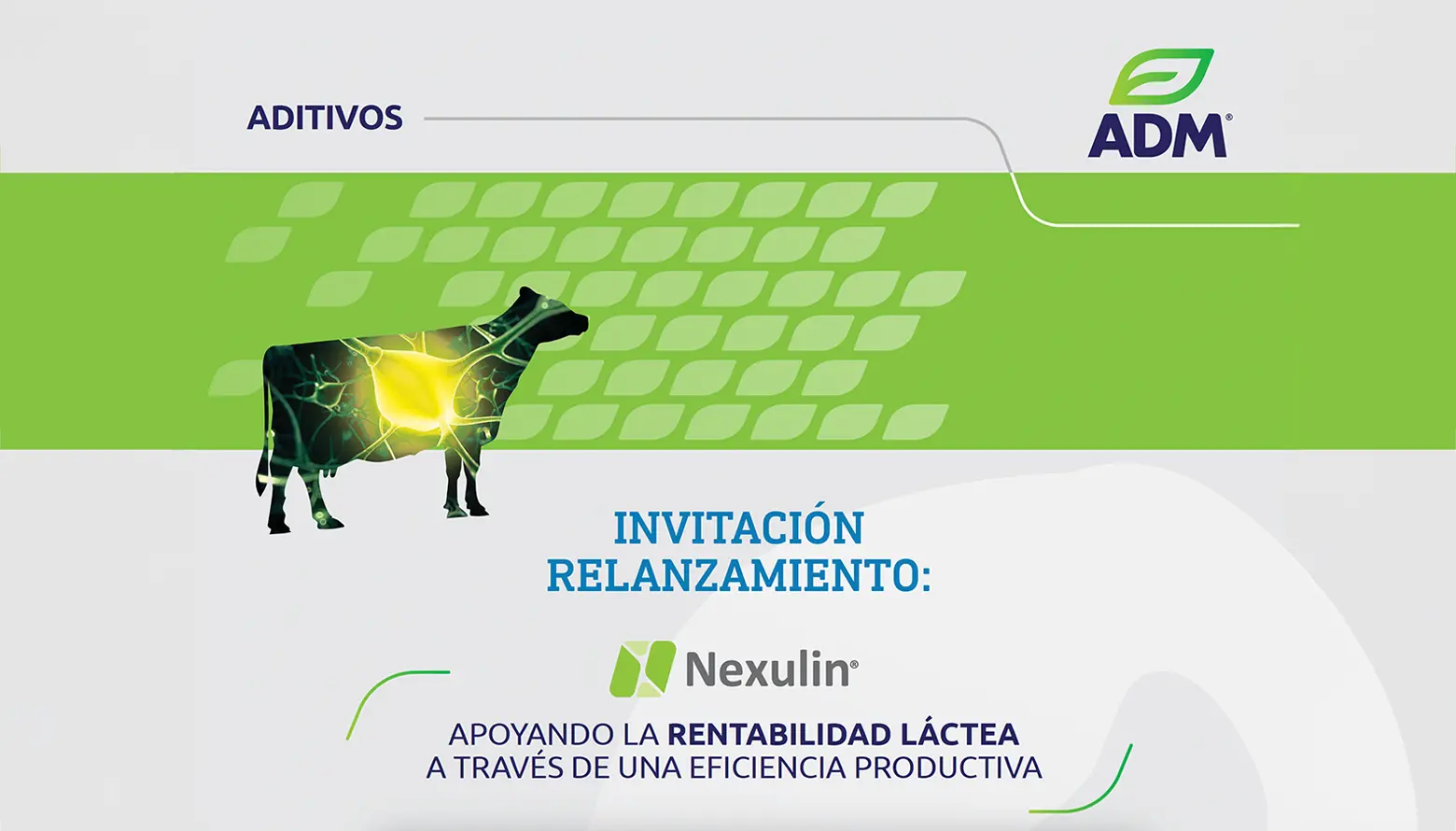 Nexulin® de ADM: Impulsando la rentabilidad láctea con innovación y ...