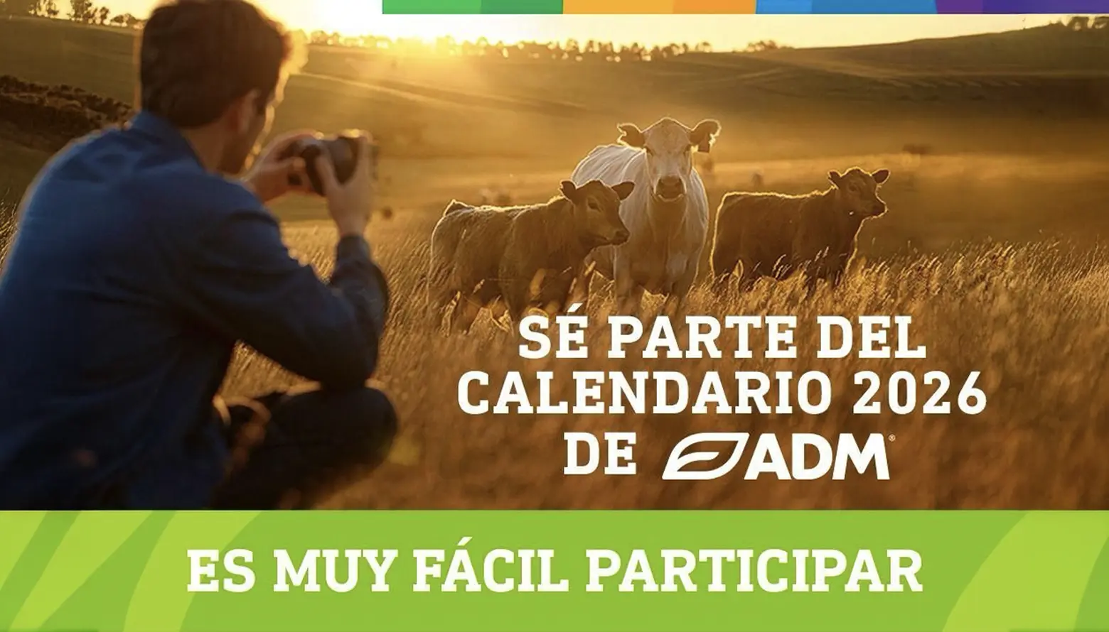 ADM Premix