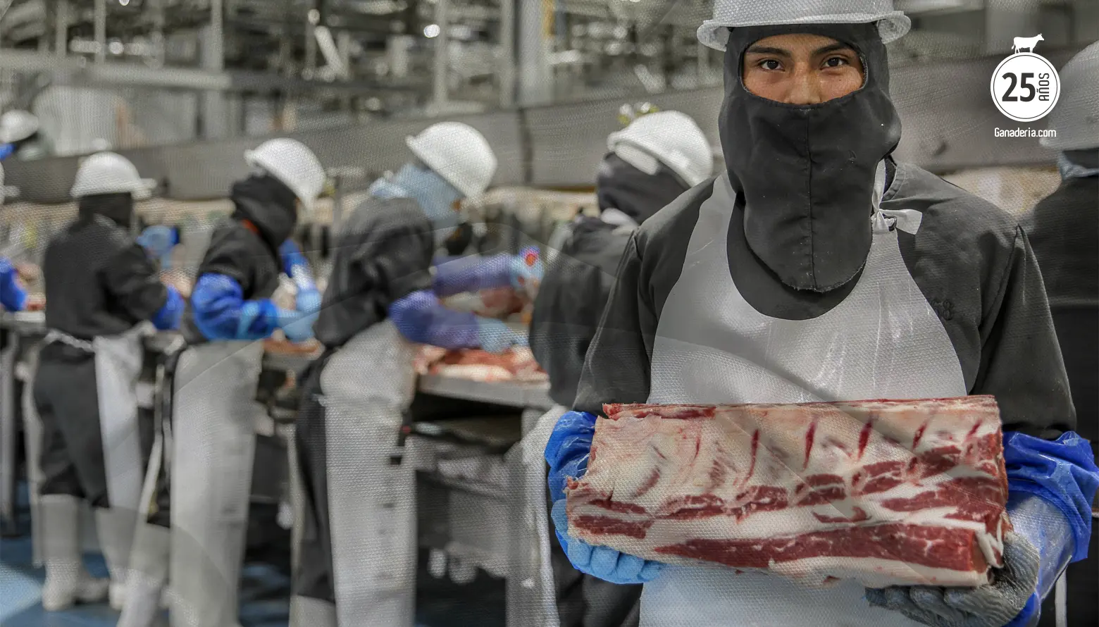 Aranceles de EE. UU. a Brasil abren oportunidades para México en el mercado de carne de res