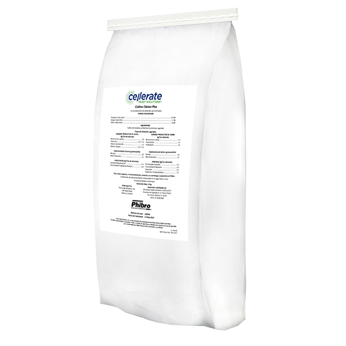 Cellerate clásico plus