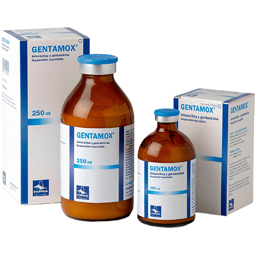 Gentamox
