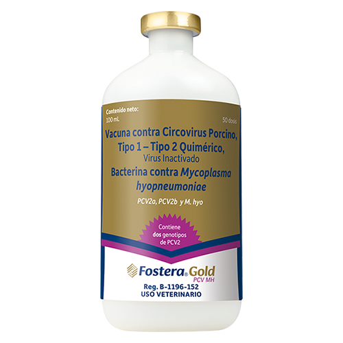 Fostera® Gold PCV MH