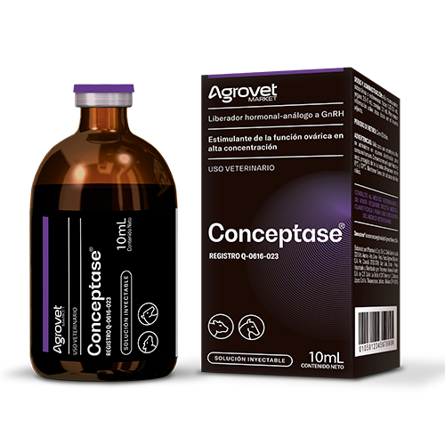 Conceptase®