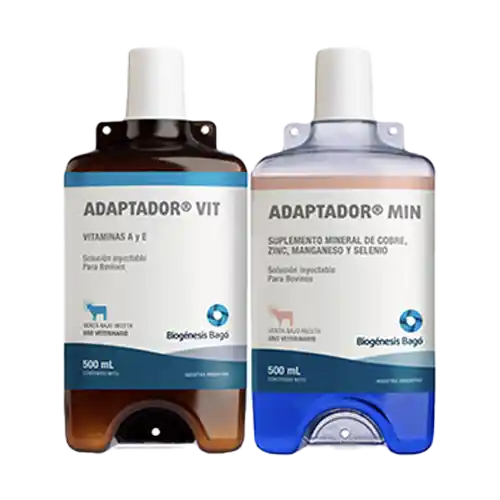 Kit adaptadores MIN/VIT