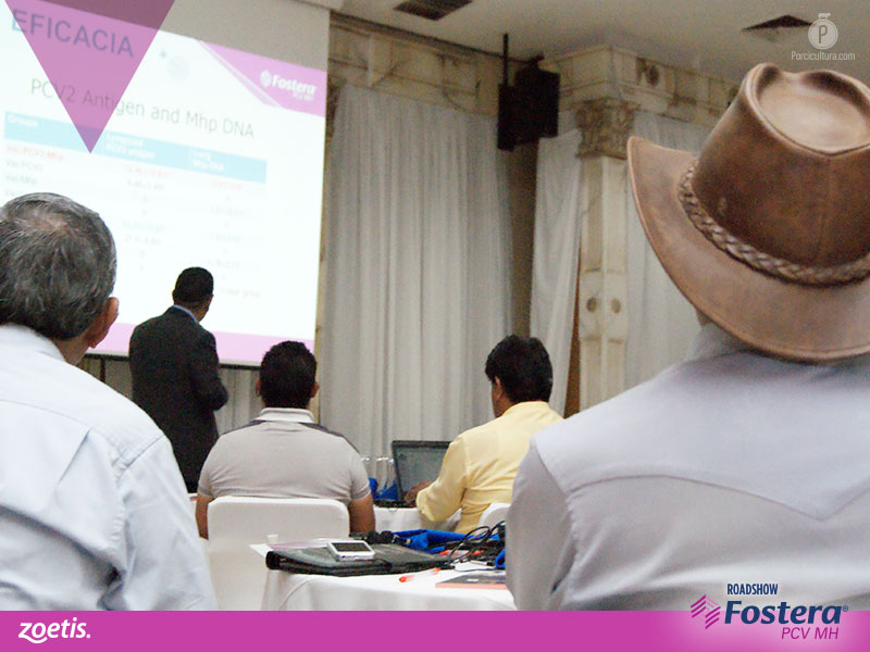 Fostera® PCV MH de Zoetis® ya está presente en México