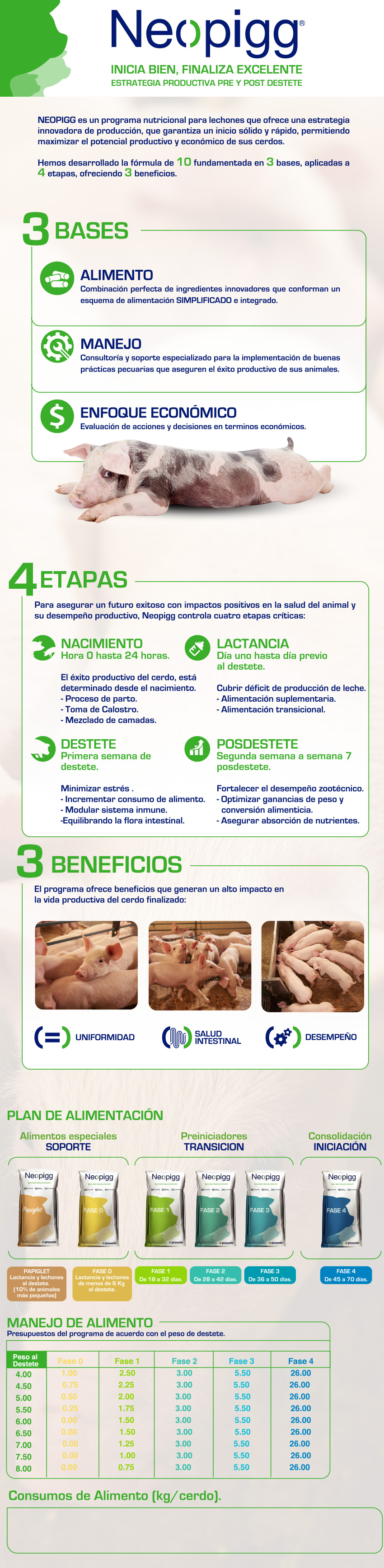 Neopigg® Inicia bien finaliza excelente